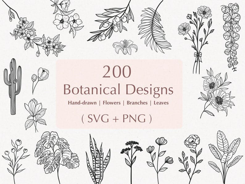 200 Botanical Svg Bundle | Floral svg |Flower Svg |Botanical | Inspire ...