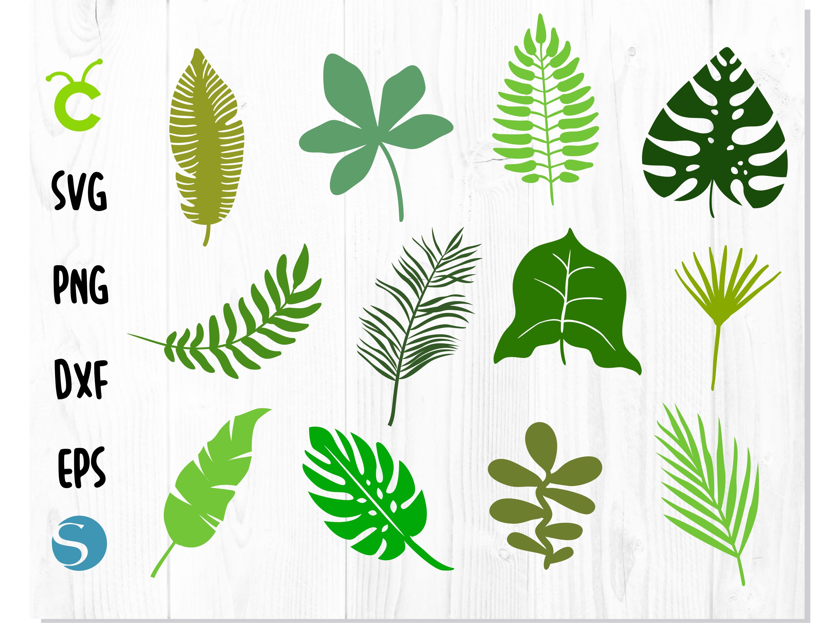 Jungle Leaf Svg