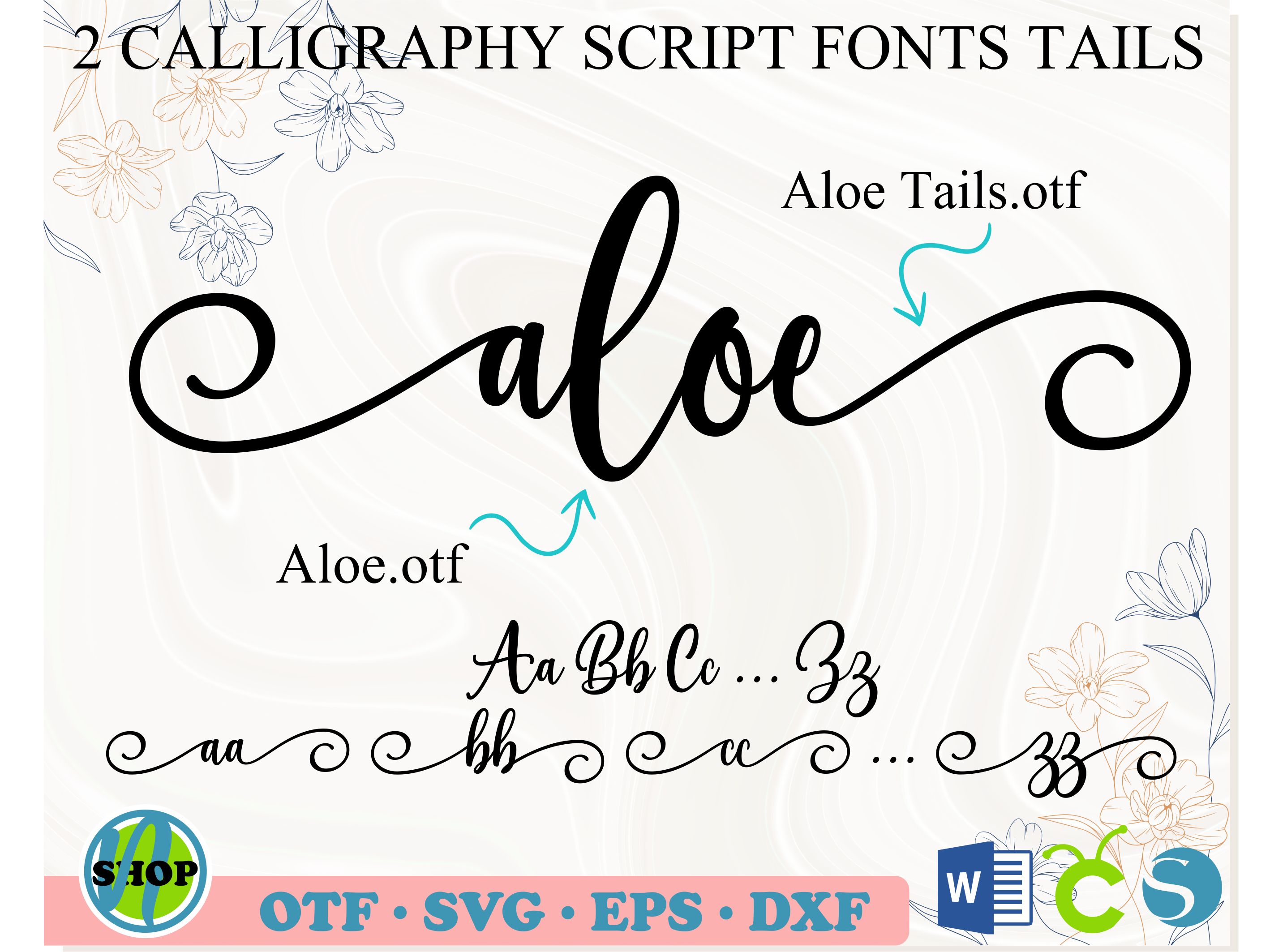 Aloe Font with Tails otf svg | Beautiful Fonts, Handwritten | Inspire ...