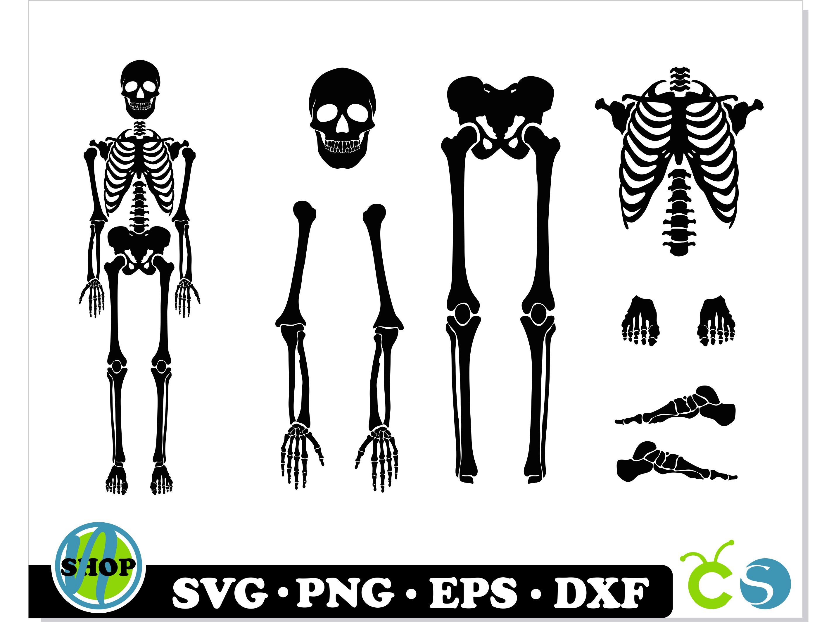 Skeleton Parts SVG, Skeleton svg, Skeleton Bones parts svg, | Inspire ...