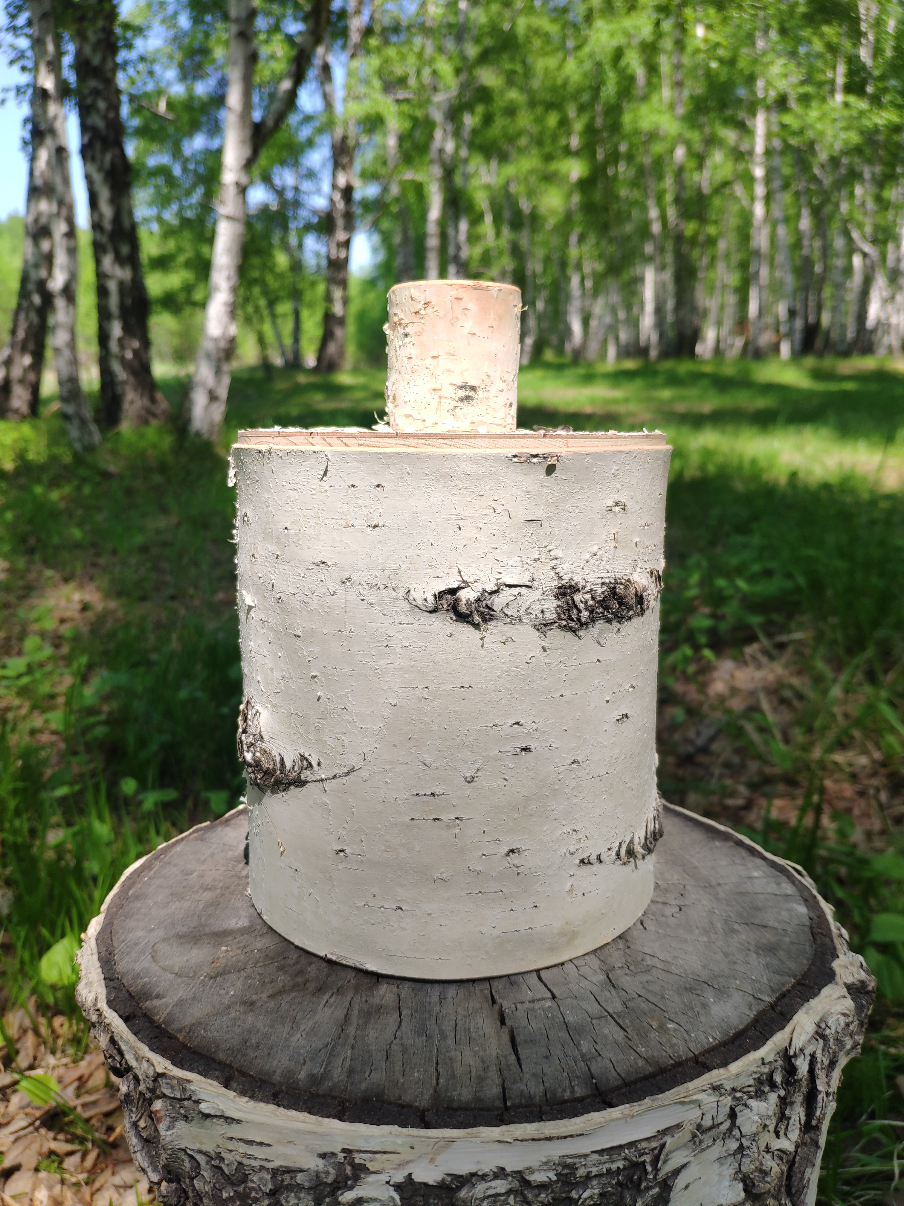 Birch bark box, natural white birch | Inspire Uplift