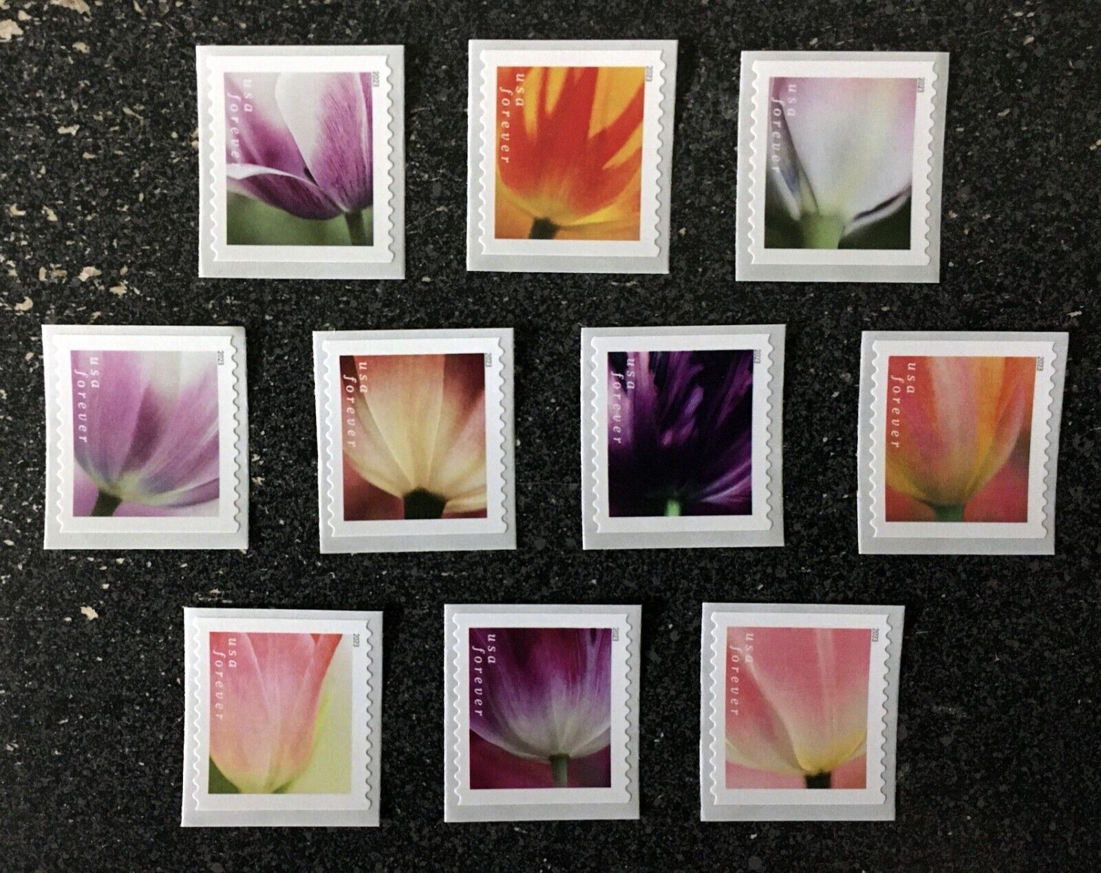100 Tulip Blossom 2023 Unused US Forever First Class Flowers - Inspire ...
