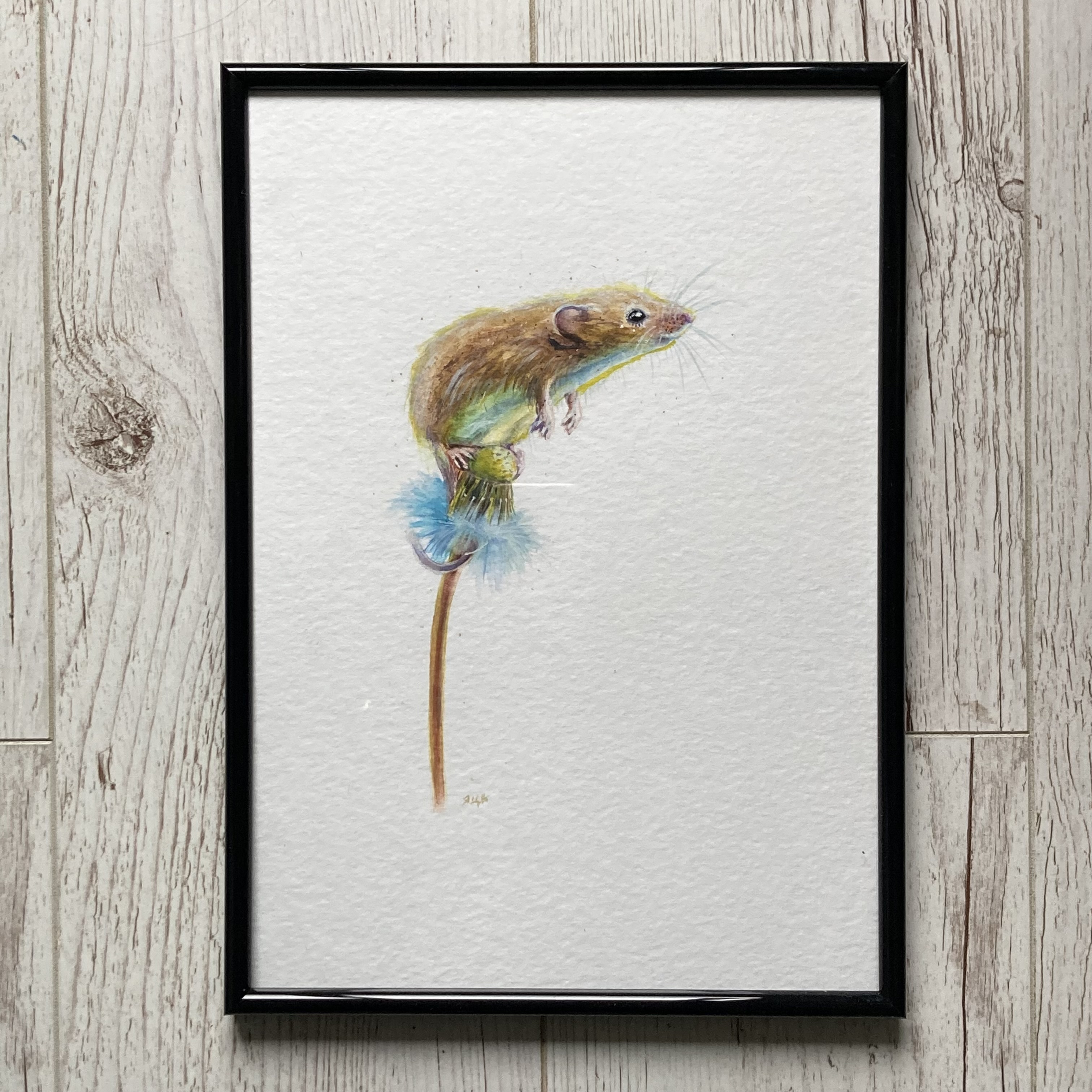 Original Mouse Watercolor Painting, Framed Watercolor Art, C - Inspire ...