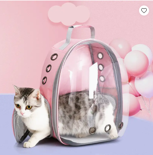 Take Your Pet Anywhere with This Stylish Space Capsule Pet B | Inspire ...