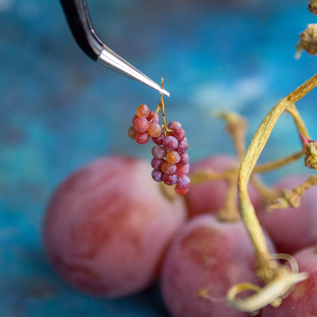 TUTORIAL Miniature large red grape with polymer clay | Minia - Inspire ...