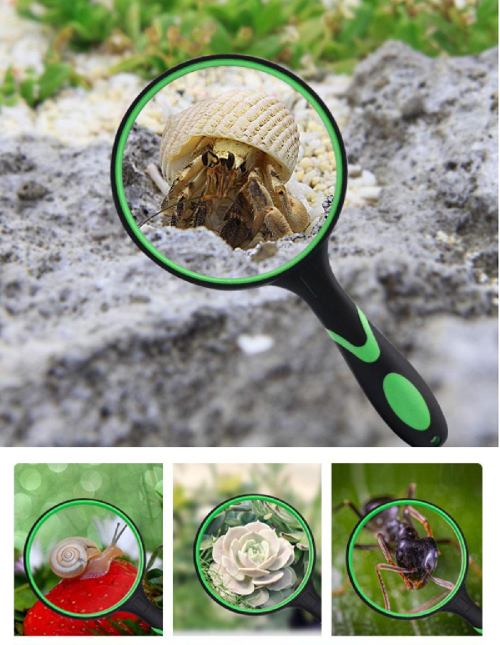 75mm Handheld 10X Optical Magnifier Magnifying Glass Loupe J | Inspire ...