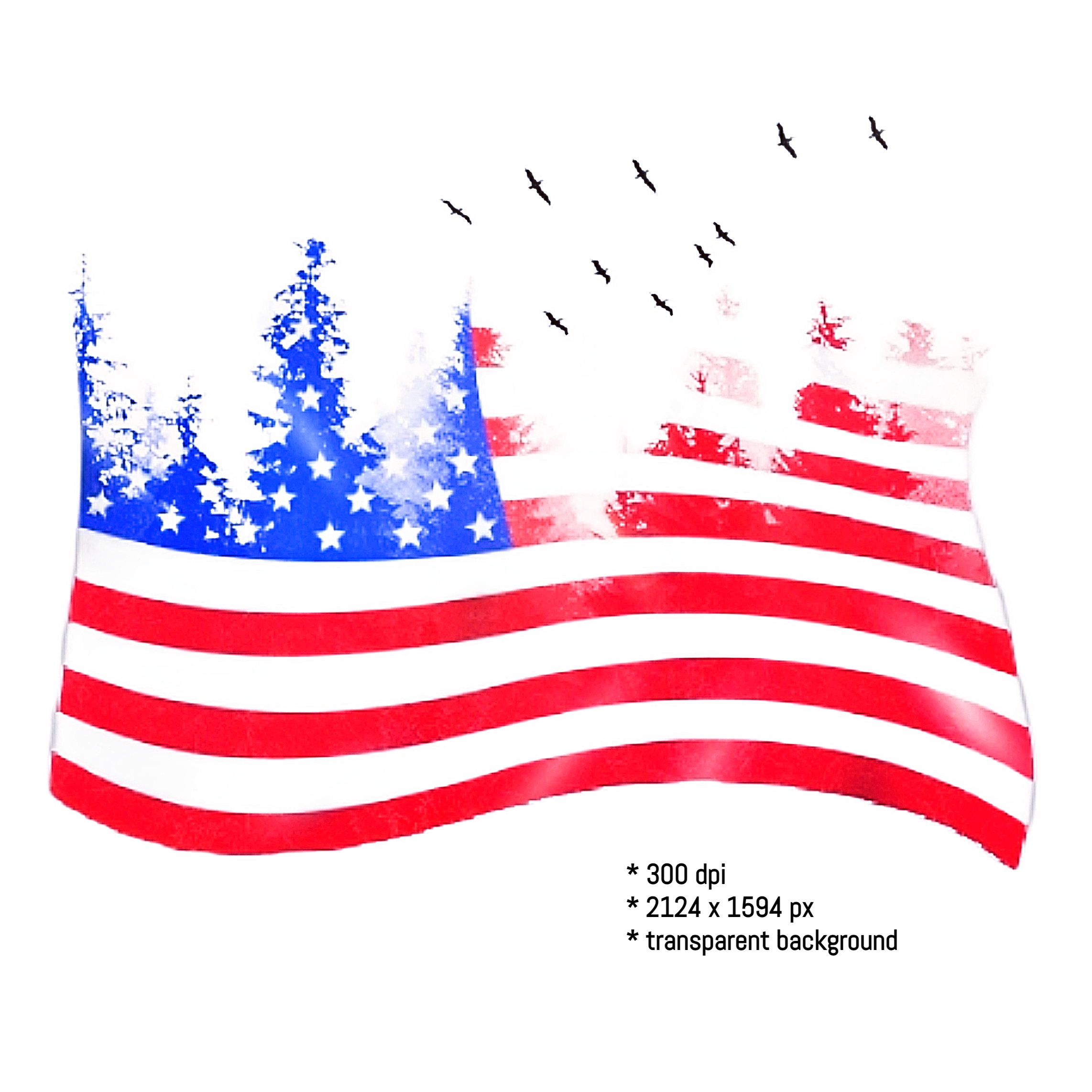 US flag. PNG transparent background. Instant download | Inspire Uplift