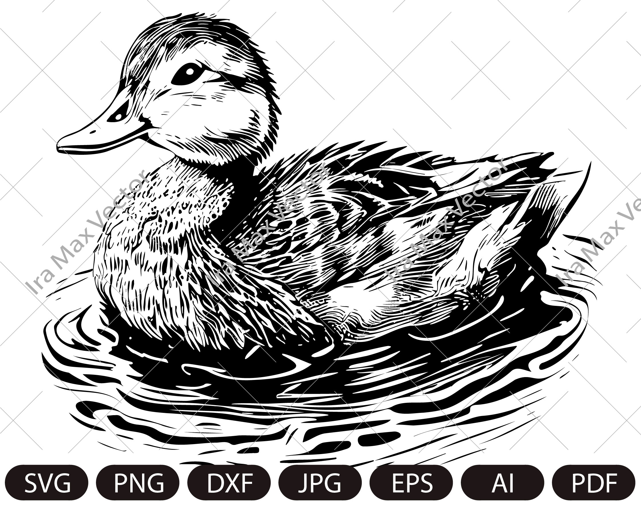 Duck Svg, Duck Clipart, Duck Png, Duck Head, Duck floating s | Inspire ...