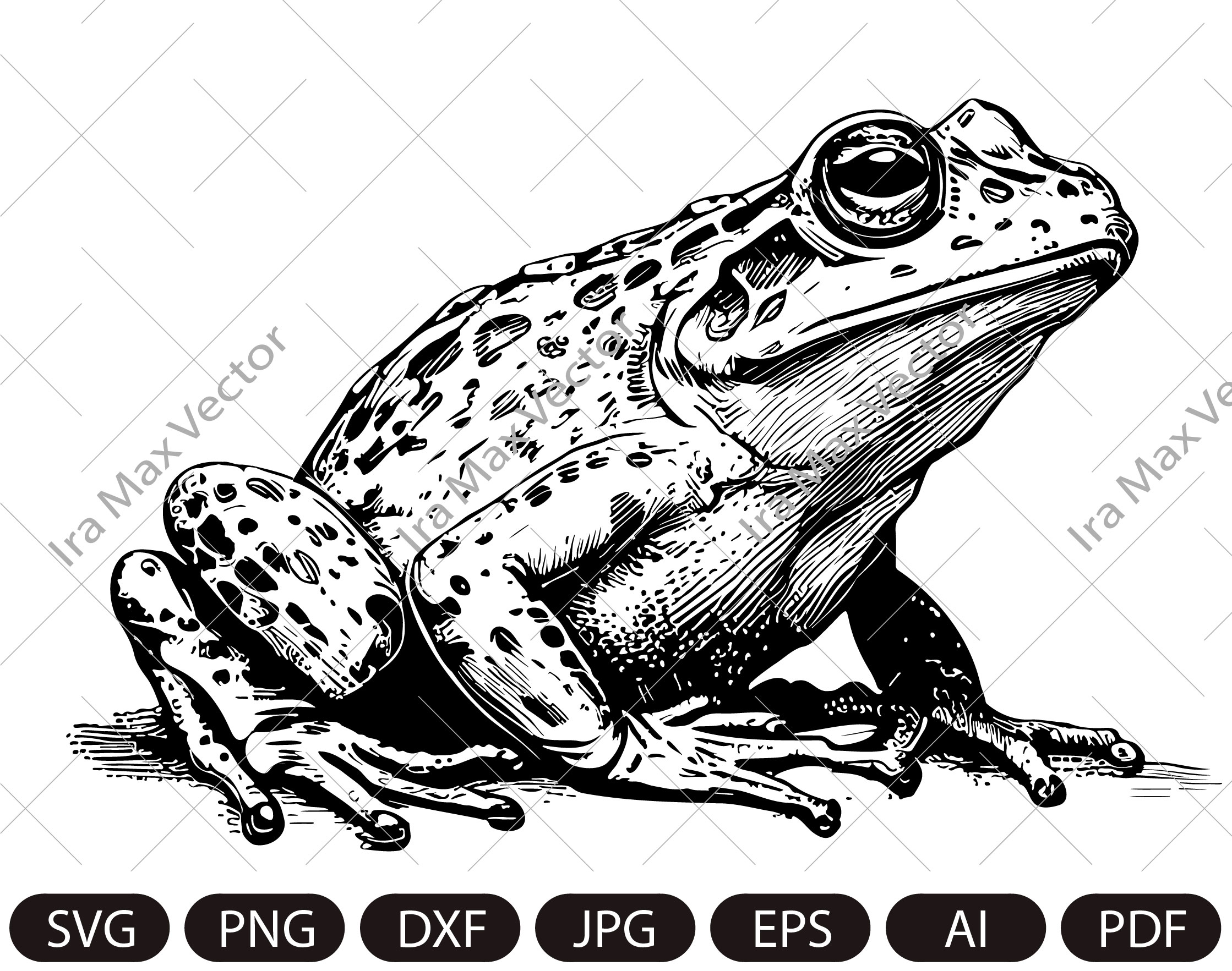 Frog Svg/ Frog Clipart/ Frog Png/ Frog Head/ Frog detailed/ | Inspire ...