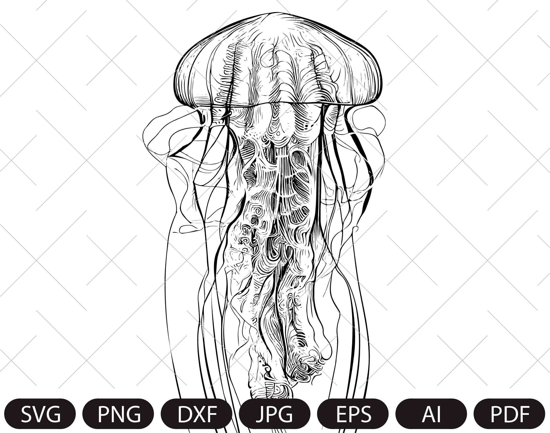 Jellyfish svg file, Ocean, Sea animals, Beach, Summer, Beach | Inspire ...