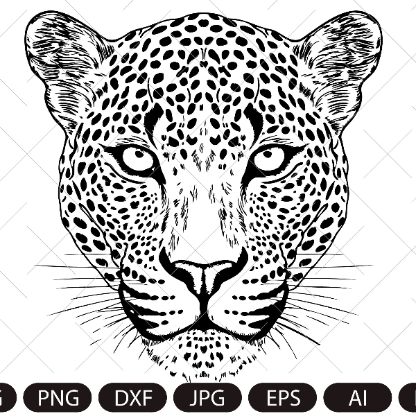 Leopard svg,Animal svg,Instant Download,SVG, PNG, EPS, dxf, | Inspire ...