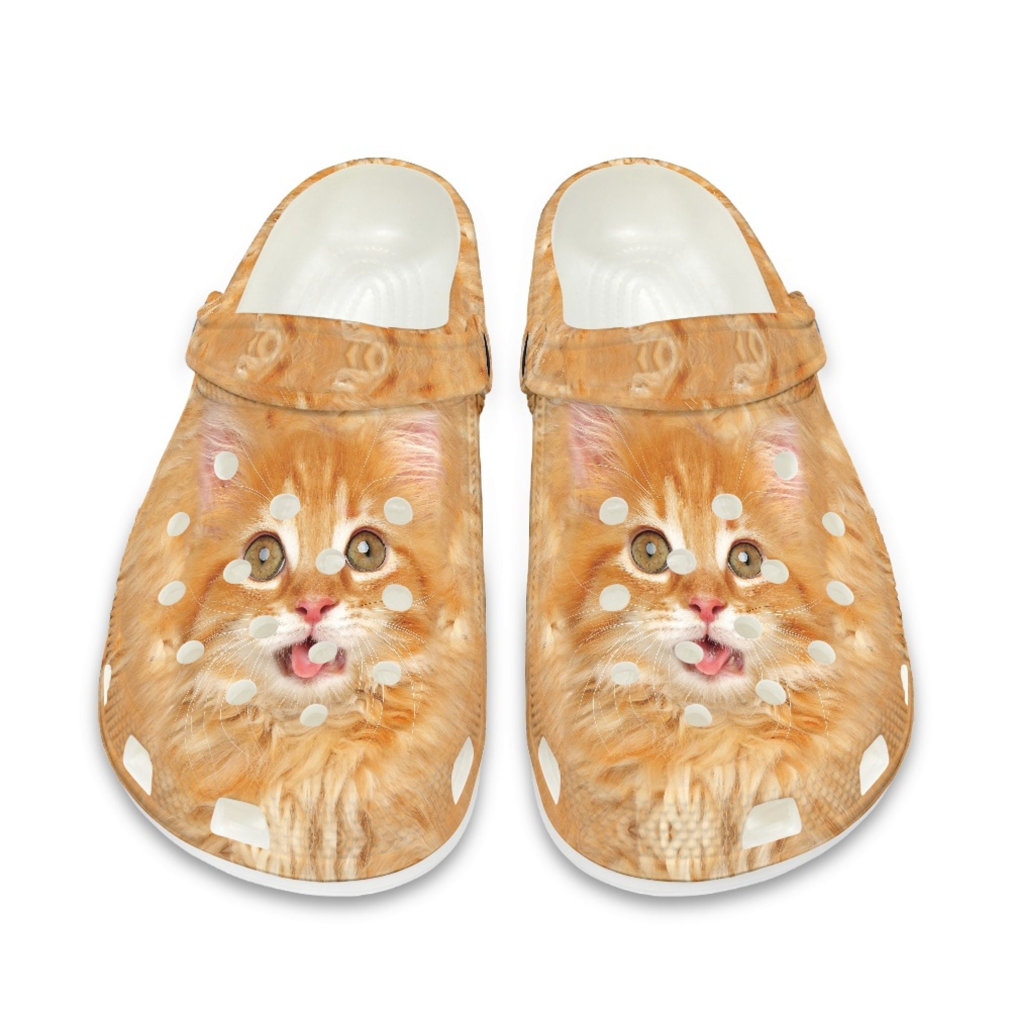 Cats Wearing Shoes