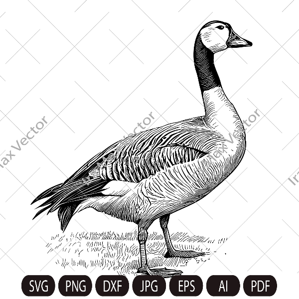Goose SVG, Goose standing,Grey Goose SVG, Goose Clipart, Goo - Inspire ...