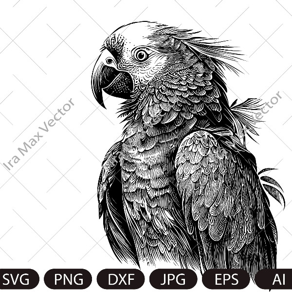 Parrot Svg, Exotic bird svg, Macaw svg, Silhouette dxf, bird - Inspire ...