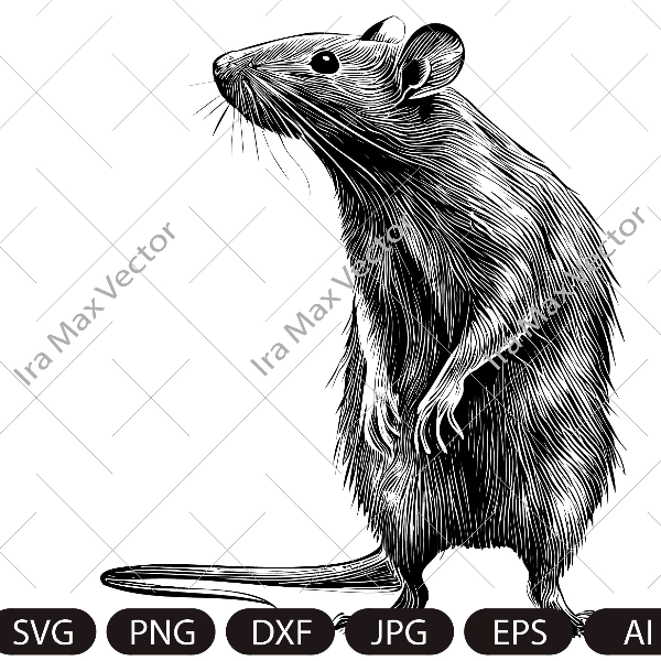 Rat Svg, Rat Clipart, Rat Png, Rat Head, Rat Cut Files, Rat | Inspire ...