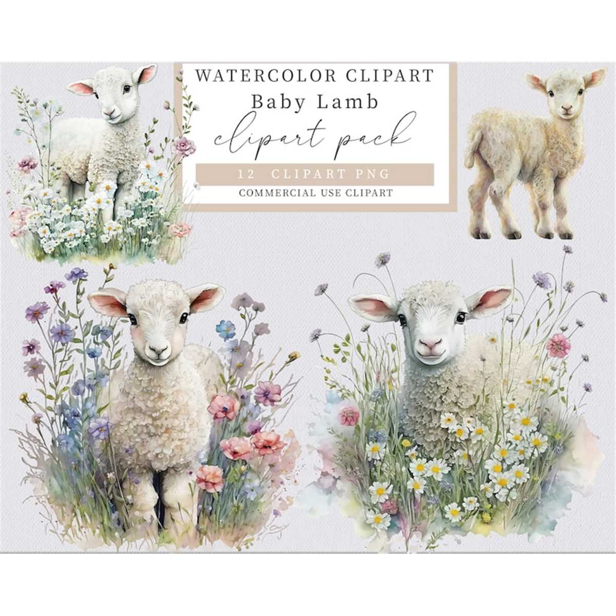 Baby lamb clipart, Easter clipart, Animals clipart, Animals - Inspire ...