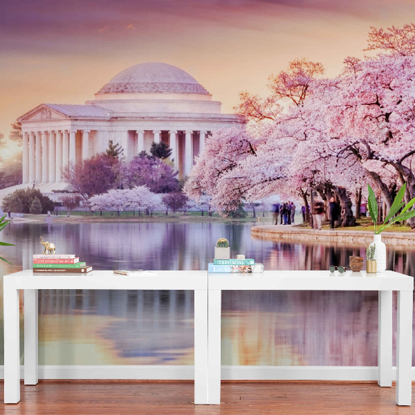 Captivating Beauty: Jefferson Memorial Wall Mural - Inspire Uplift