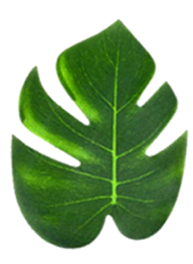 Lilo and Stitch Clip art, PNG Images, 300dpi digital, Graphi | Inspire Uplift