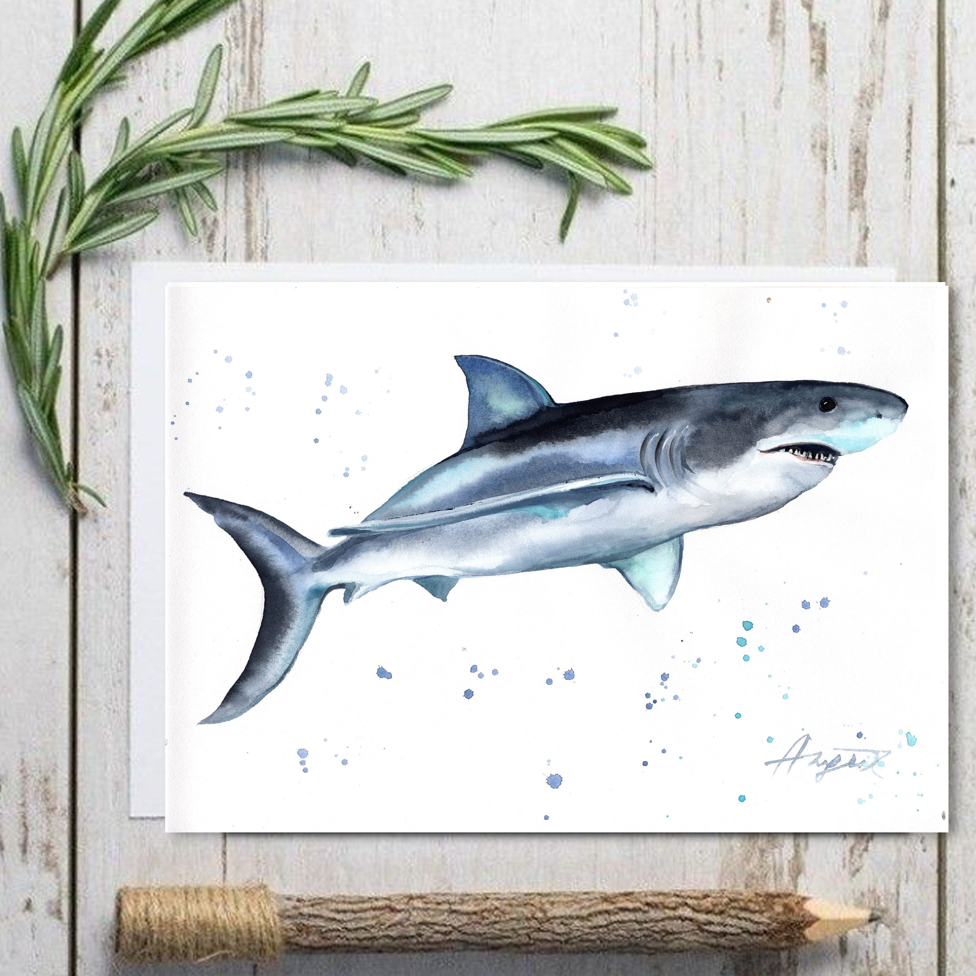 Ostrich bird Shark painting, watercolor fish paintings, hand - Inspire ...