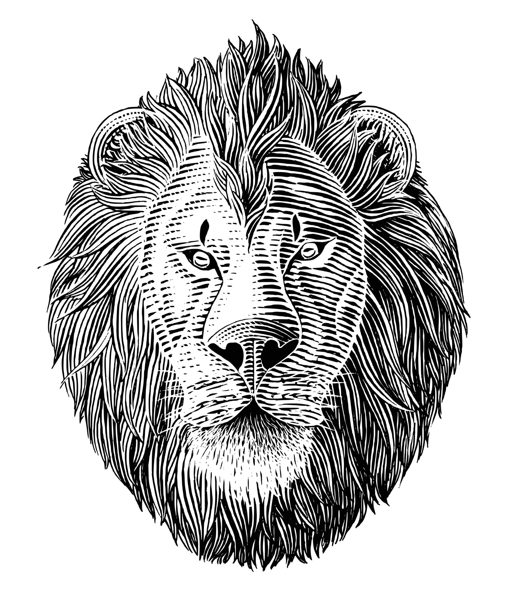 Illustration vector graphic of The lion head hand draw vinta | Inspire ...
