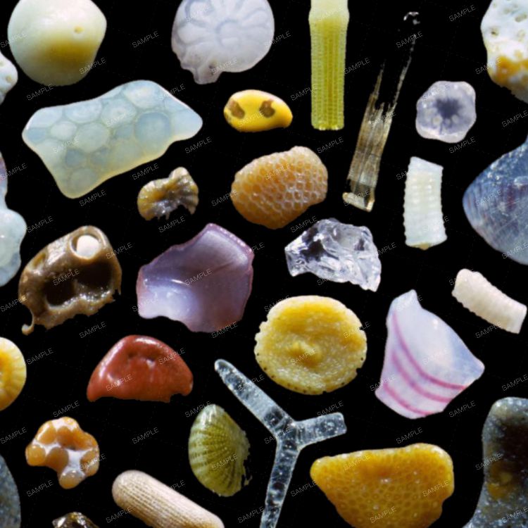 Microscopic Sand 23 Seamless Tileable Repeating Pattern | Inspire Uplift