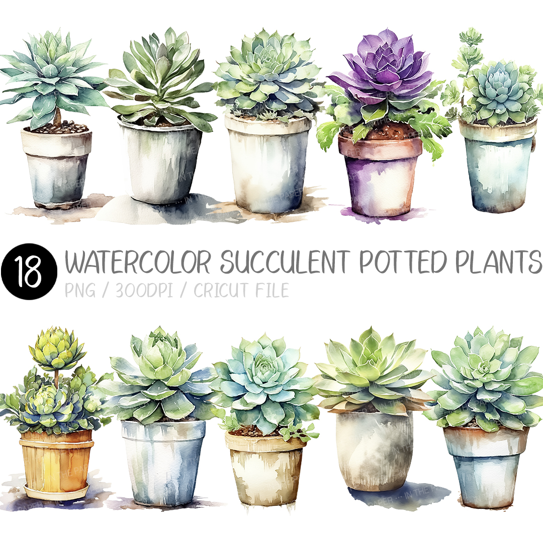 Watercolor Succulent Potted Plants PNG | Inspire Uplift