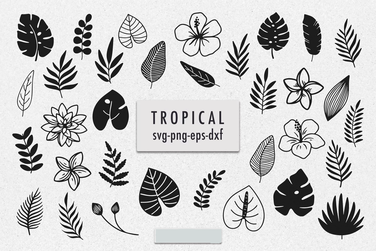 Tropical Clipart | Inspire Uplift