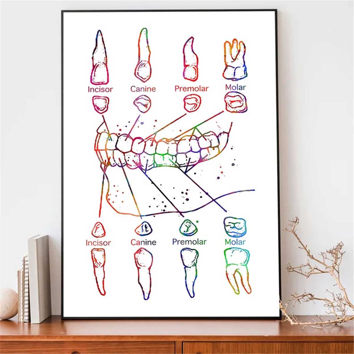 Watercolor Anatomy Teeth Poster, Dentistry Wall Art, Dental | Inspire ...