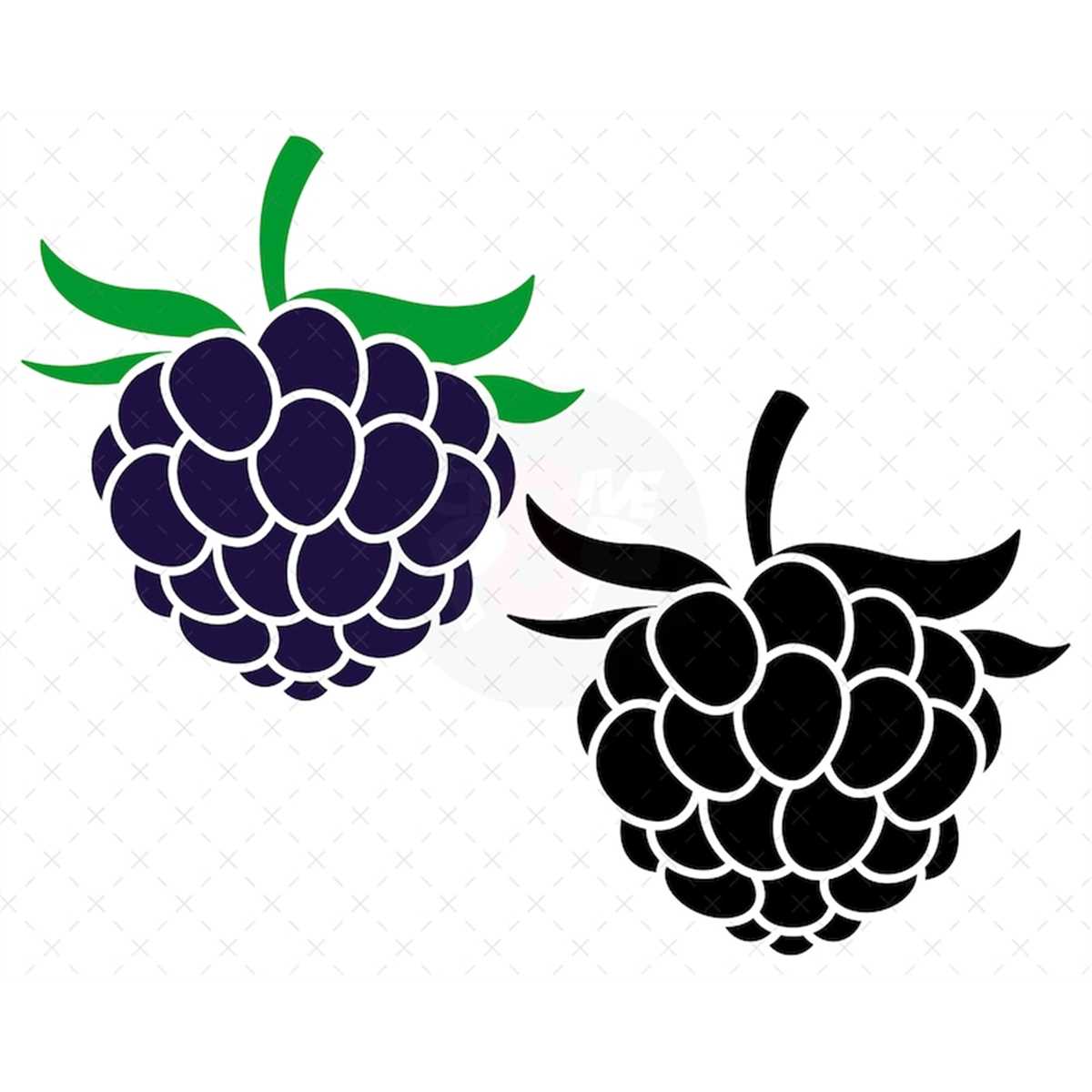 Berry svg, Fruit svg, Fruit Png, Berry png, Berry Clipart, S - Inspire ...