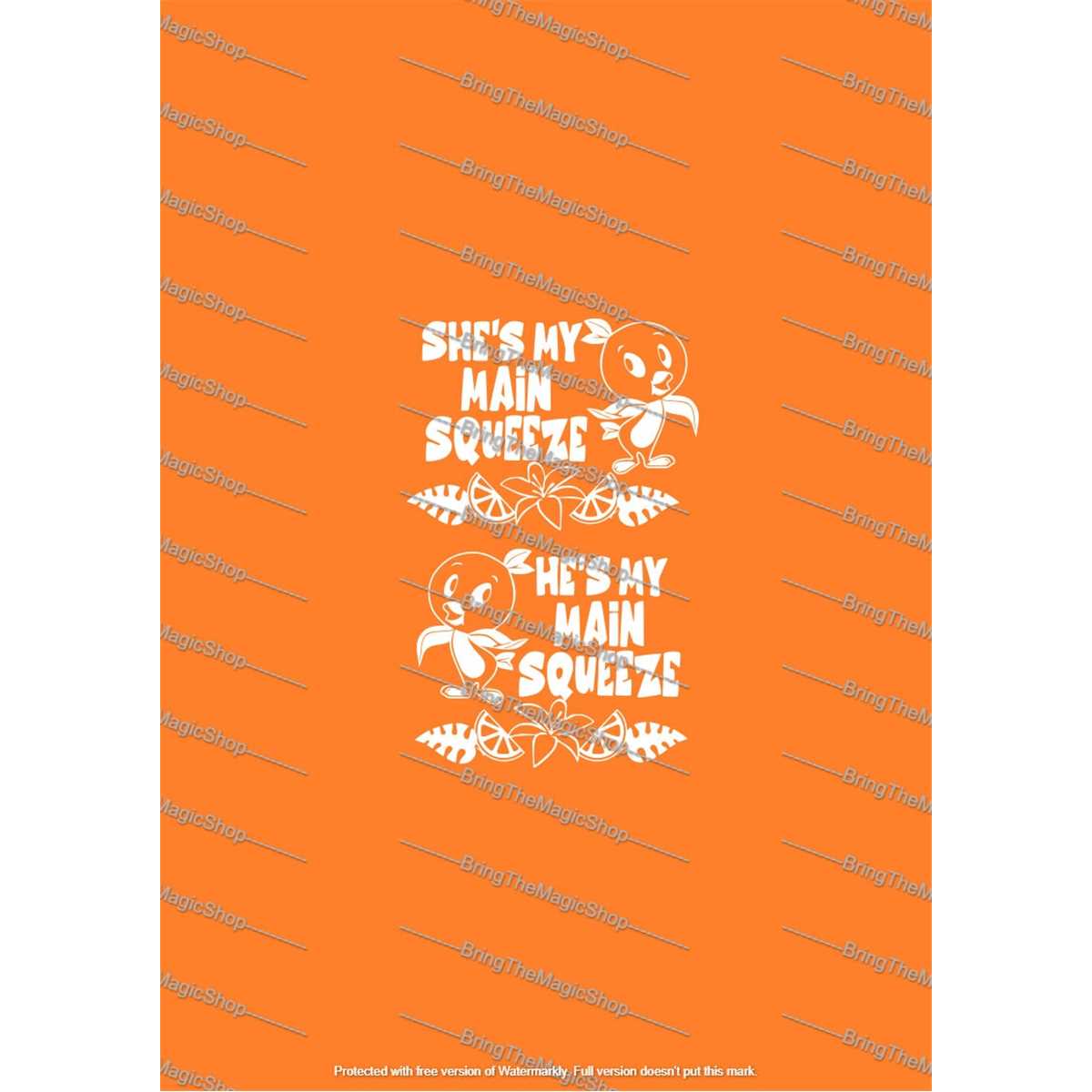 Bird SVG, PNG, Tshirt designs, couples, matching, Main Squee - Inspire ...