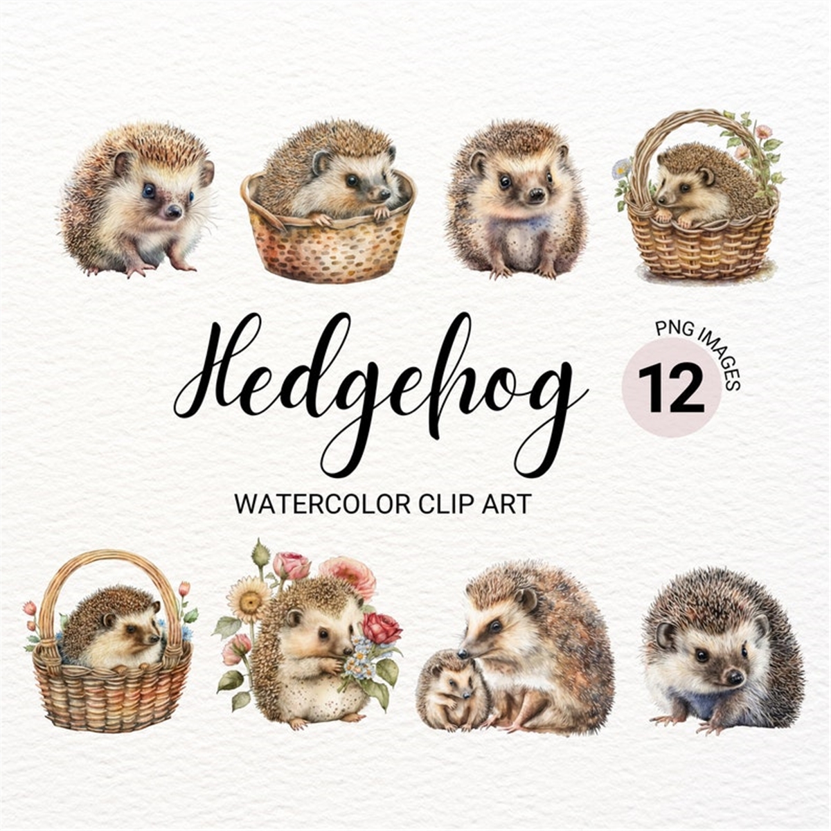 Mom and Baby Hedgehog Clipart | Watercolor Hedgehog PNG | Nu - Inspire ...