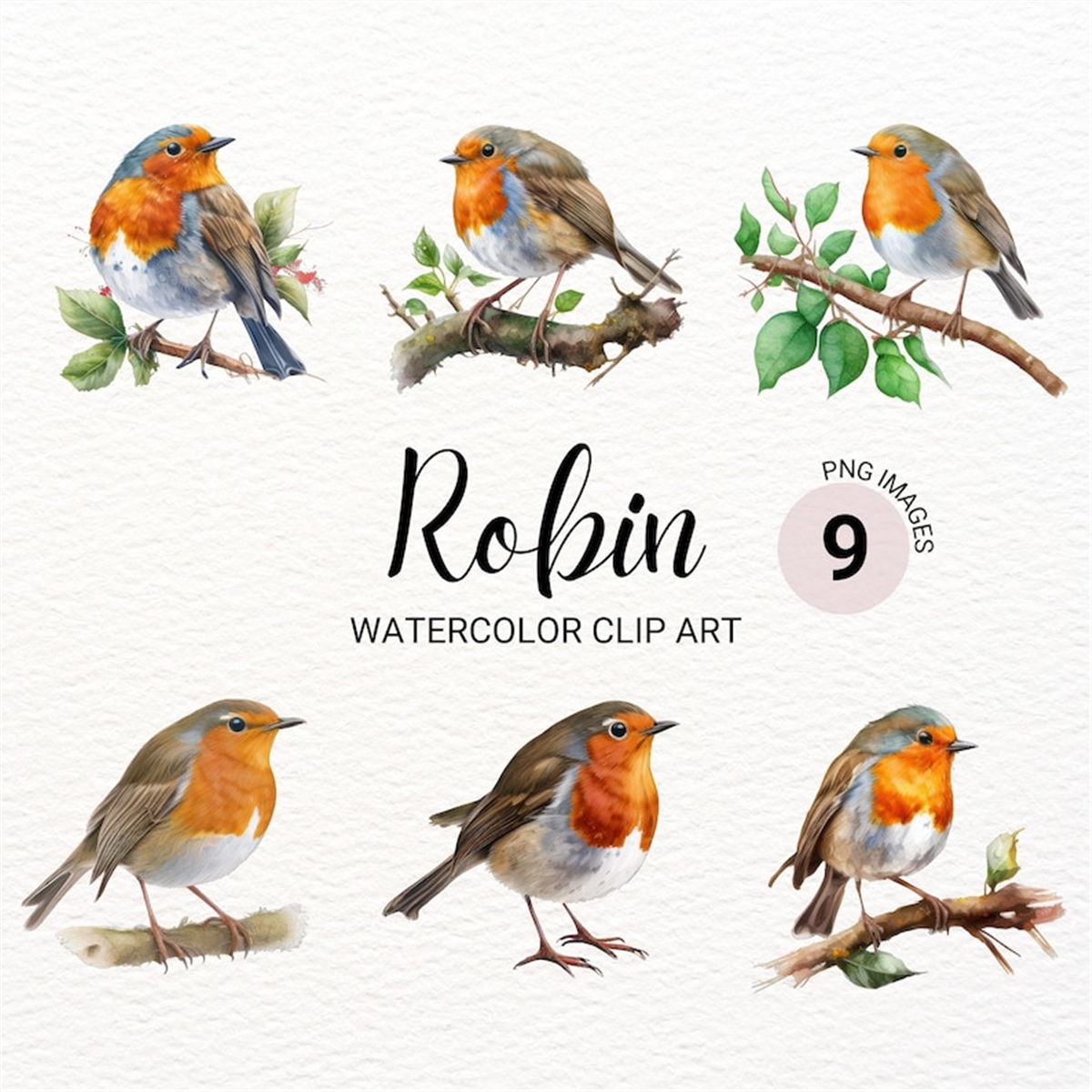 Robin Bird Clipart | Robin Bird PNG | Watercolor Bird Clipar - Inspire ...