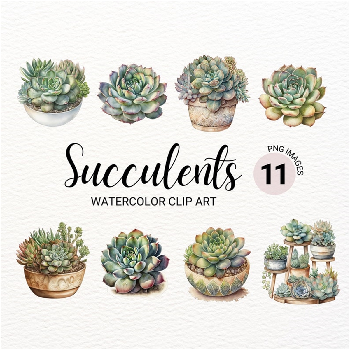 Watercolor Succulent PNG | Succulent Clipart Bundle | Floral - Inspire ...