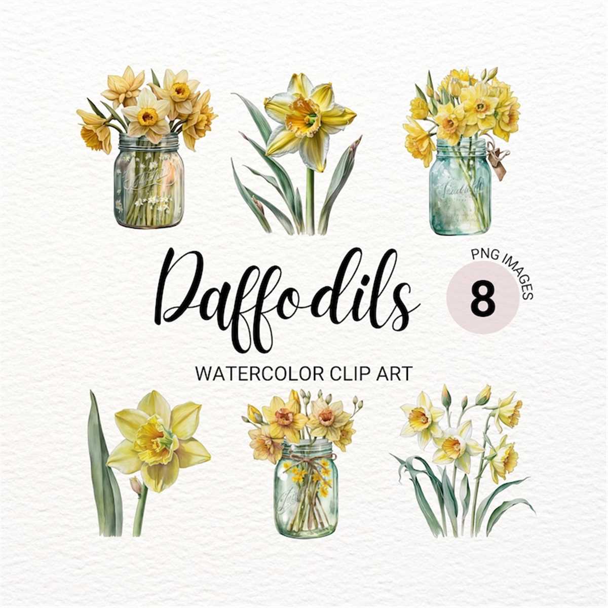 Daffodil Clipart | Watercolor Daffodil PNG | Floral PNG | Su - Inspire ...