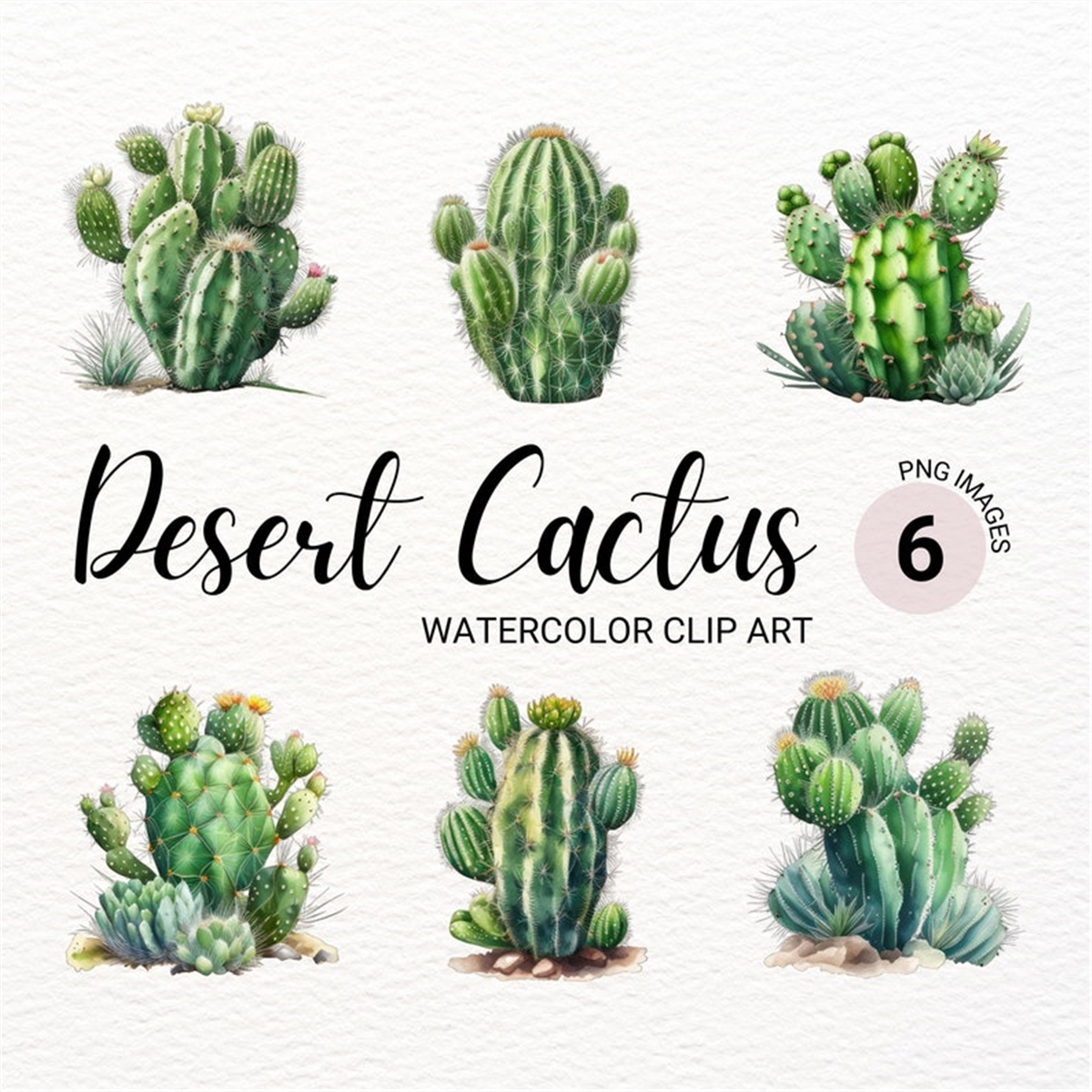 Desert Cactus Clipart
