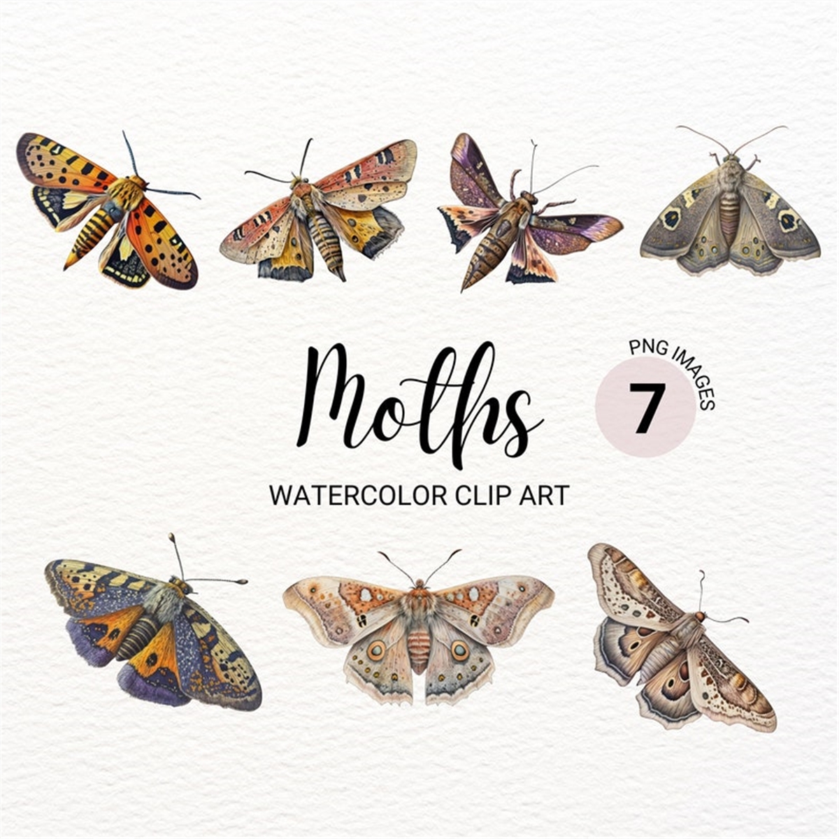 Watercolor Moth Clipart | Sphinx Moth | Watercolor Butterfly | Inspire ...