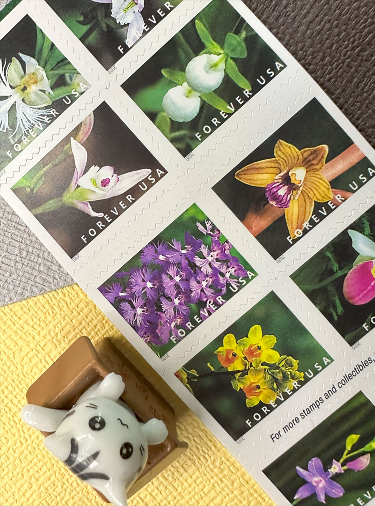 Wild Orchids 2020 – All Brand New Forever Stamps 100 Unused | Inspire ...