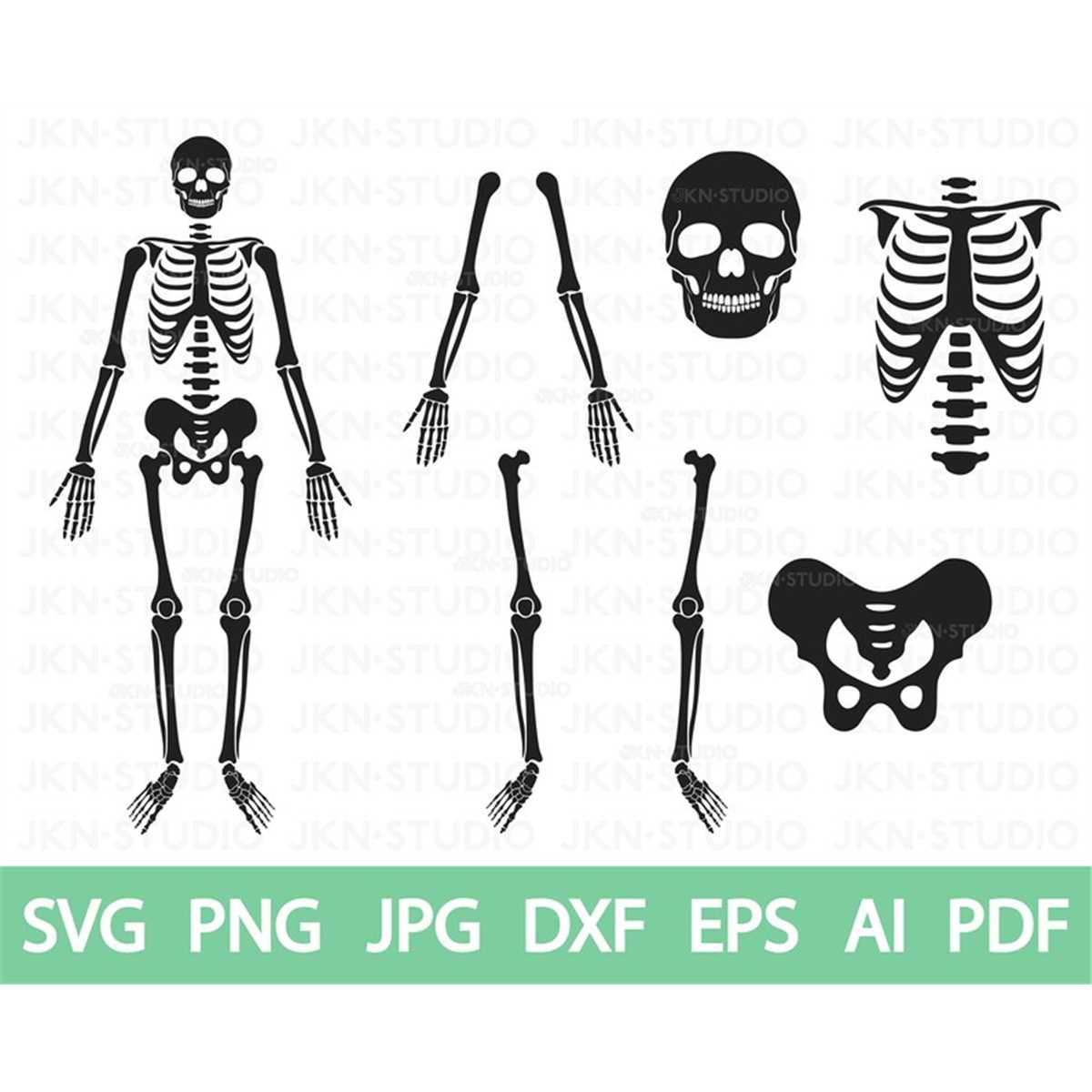 Skeleton Parts Bundle - Bones Halloween Skull - svg png jpg | Inspire ...