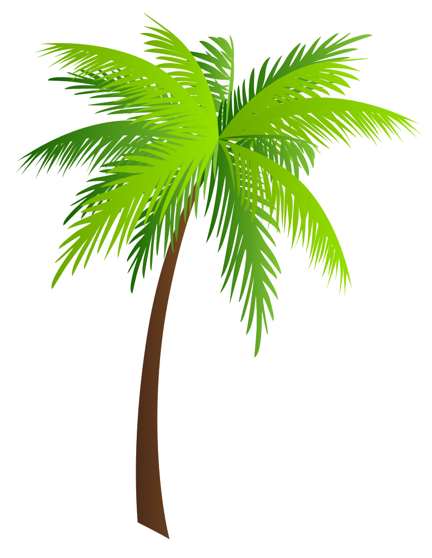 Palm Tree Png, Moana Png, Moana Princess Disney Png, Baby Mo | Inspire ...