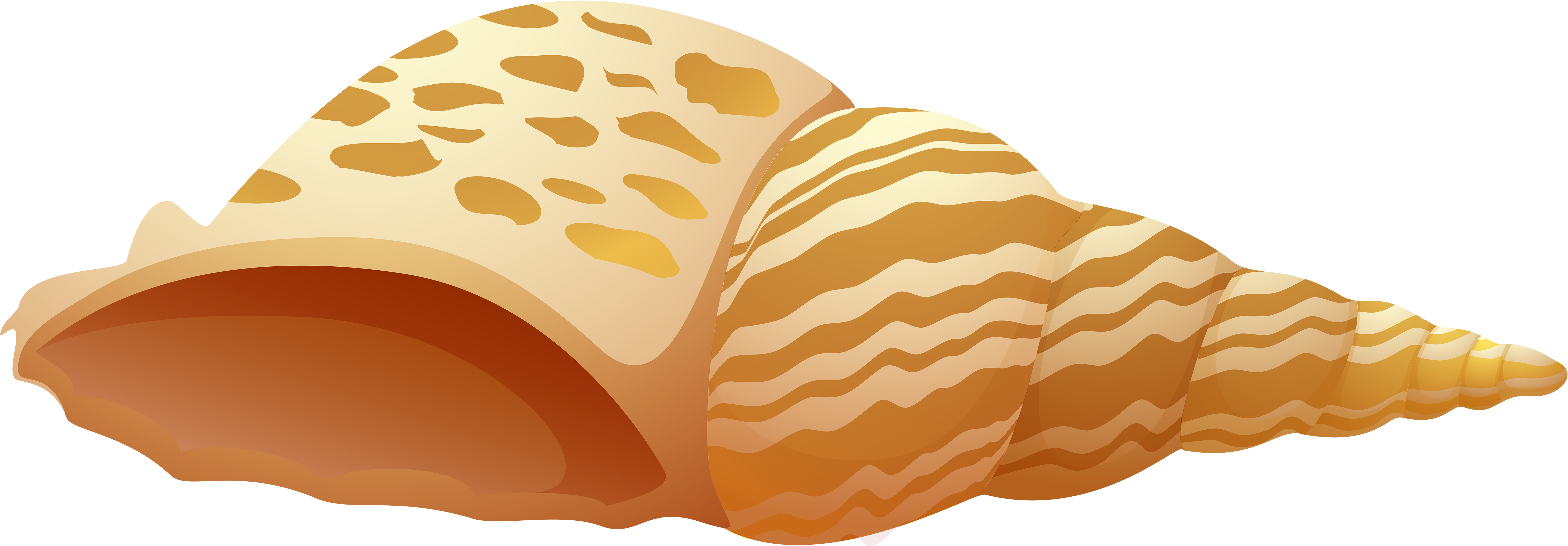 Seashell Png, Moana Png, Moana Princess Disney Png, Baby Moa | Inspire ...