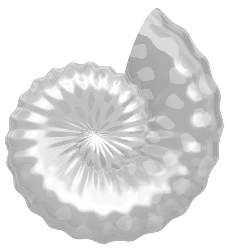 Seashell Png, Moana Png, Moana Princess Disney Png, Baby Moa | Inspire ...