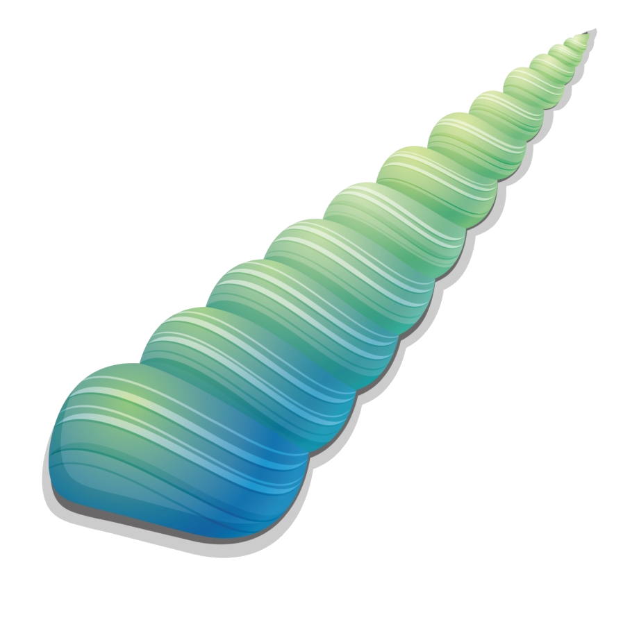 Seashell Png, Moana Png, Moana Princess Disney Png, Baby Moa | Inspire ...