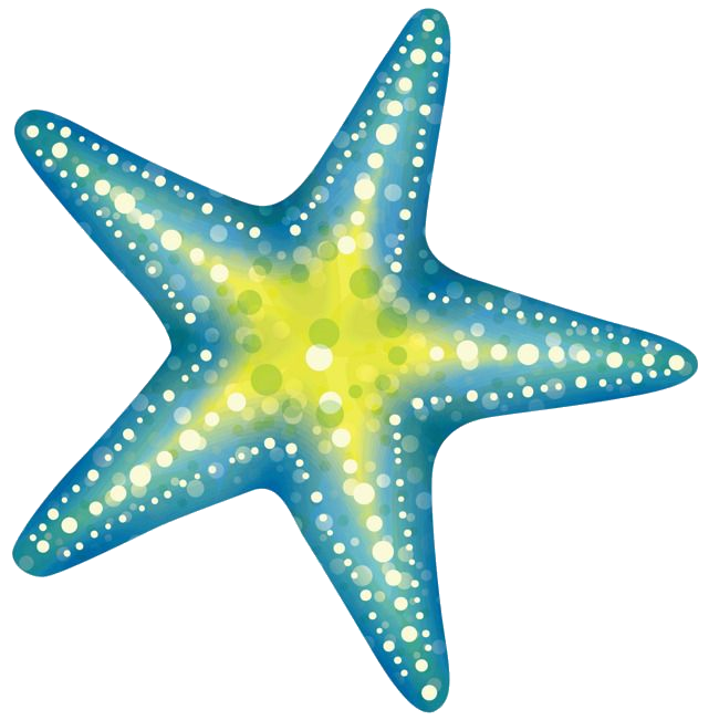 Starfish Png, Moana Png, Moana Princess Disney Png, Baby Moa | Inspire ...