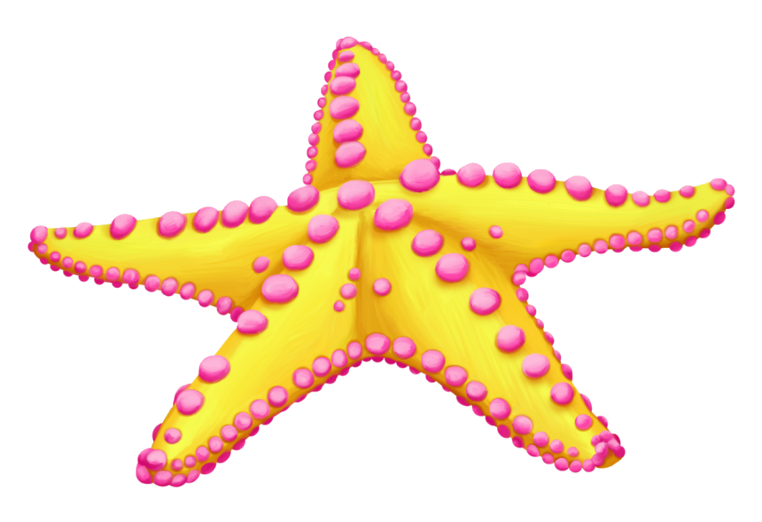 Starfish Png, Moana Png, Moana Princess Disney Png, Baby Moa - Inspire ...