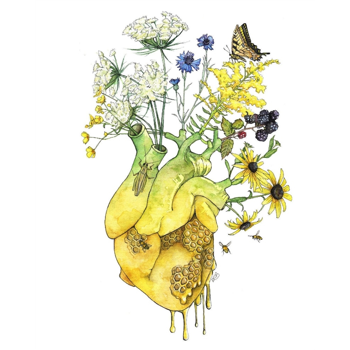 Anatomical Heart Painting - Print of Anatomical Heart, Wildf | Inspire ...