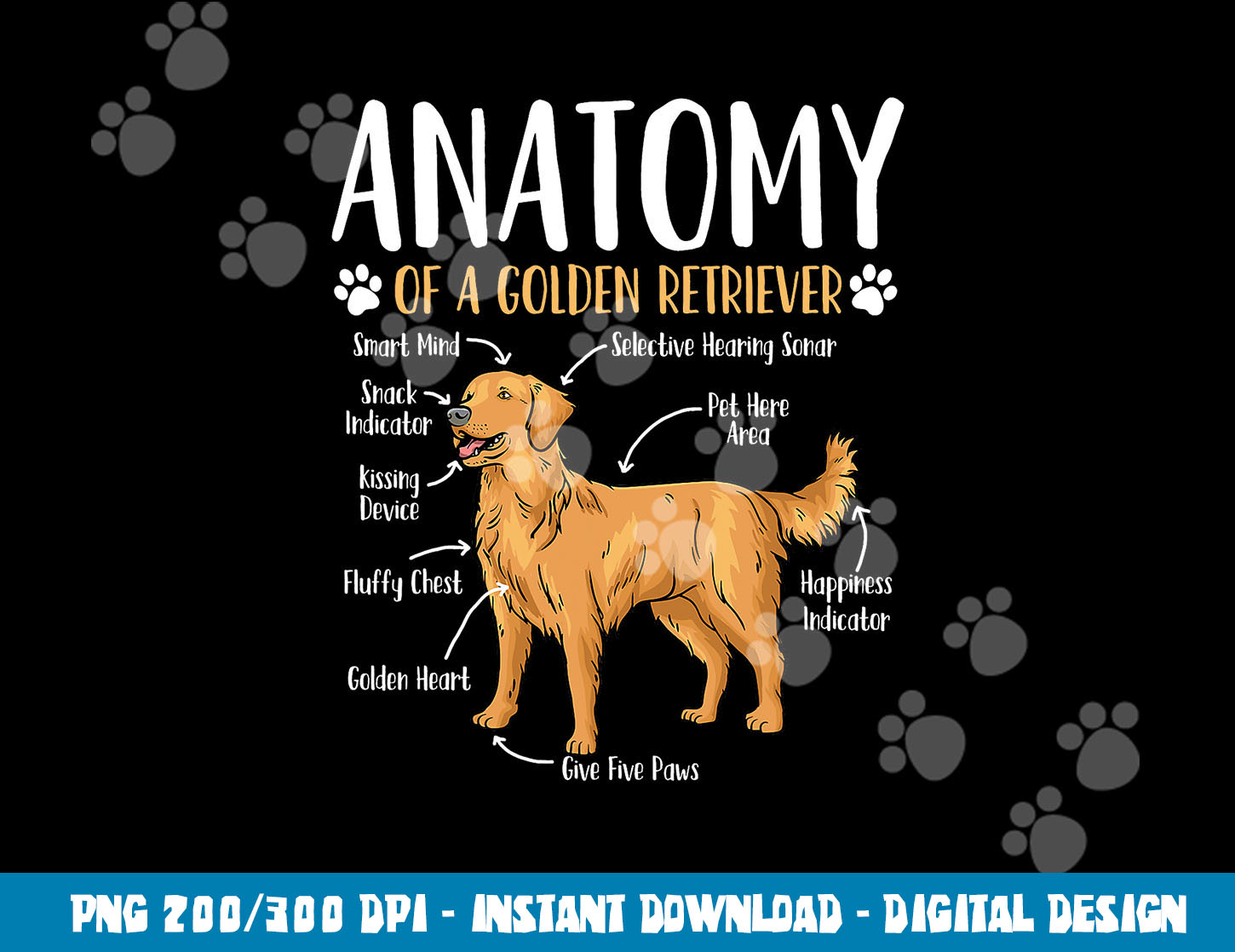 Golden Retriever Dog Anatomy png, sublimation copy | Inspire Uplift