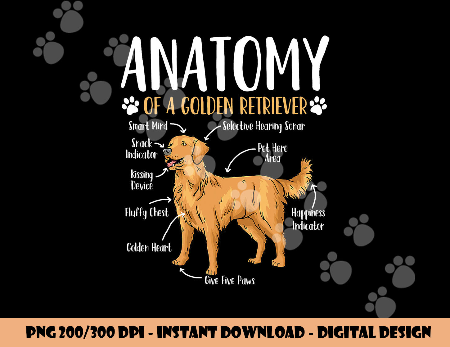 Golden Retriever Dog Anatomy png, sublimation copy | Inspire Uplift