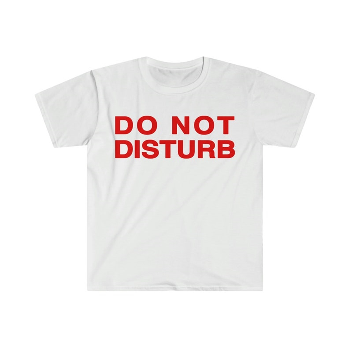 Do Not Disturb , Aesthetic Baby Crop Top 2000s Inspired Tee, | Inspire ...
