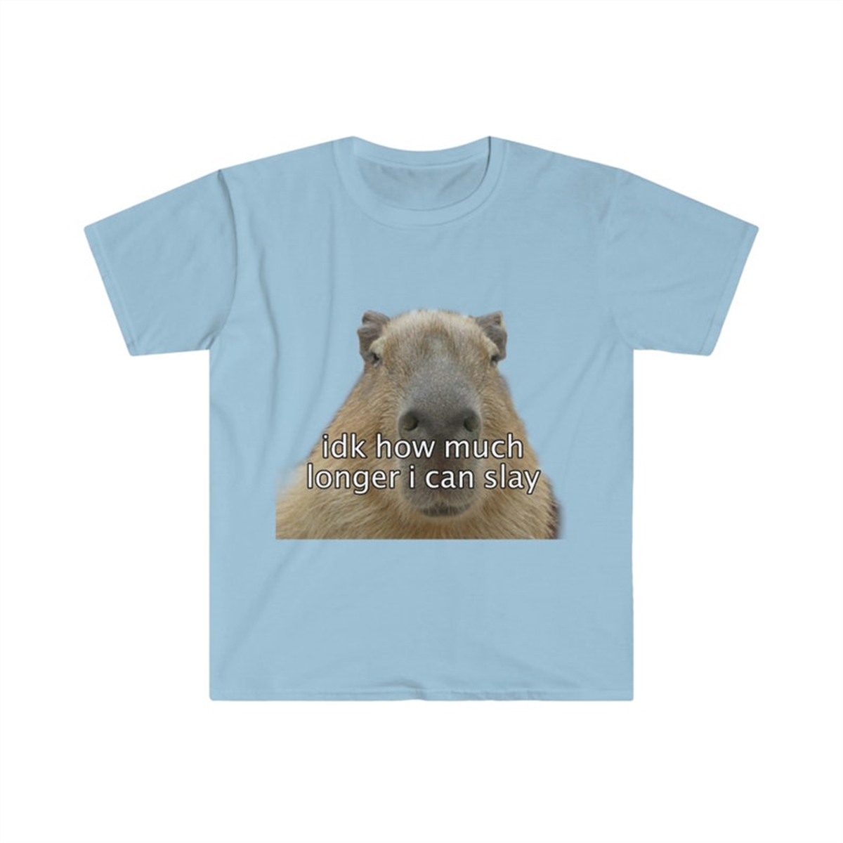 Capybara 'idk how much longer i can slay' Funny Meme T Shirt | Inspire ...