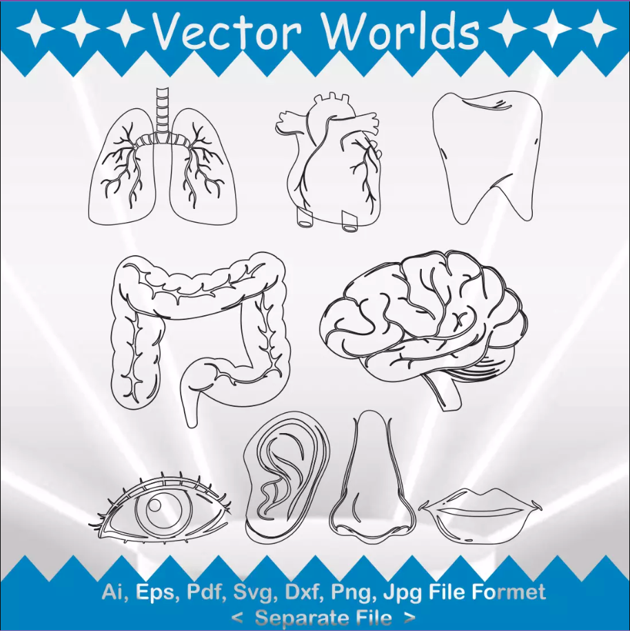 Body Parts Svg Body Part Svg Body Parts Svg Ai Pdf Ep Inspire Uplift